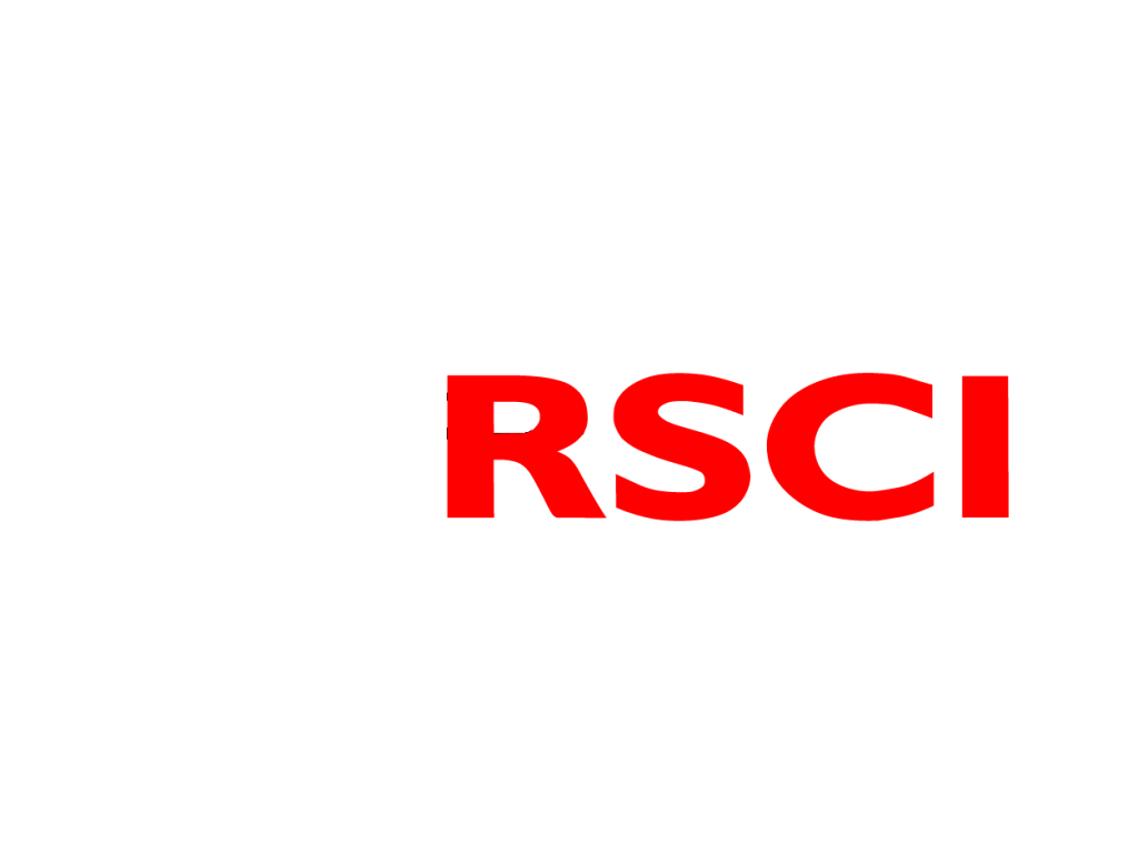 RSCI Group – We put the Project First